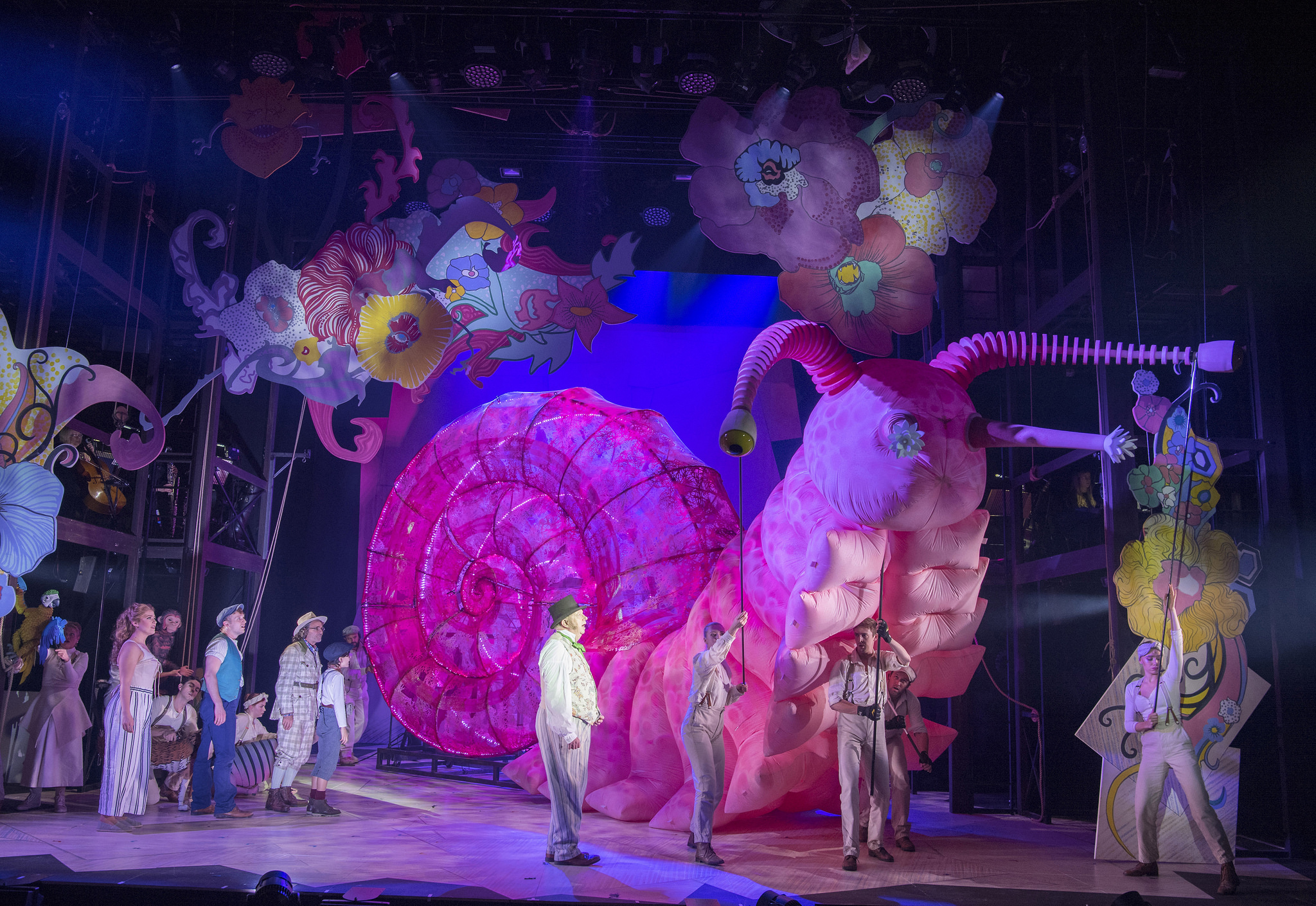 DD 9 | Opening Night